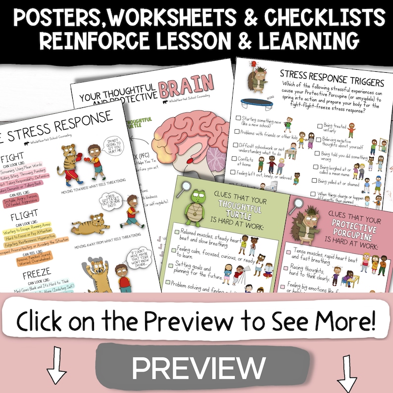 The Brain and Stress Response SEL Trauma Sensitive Kids Lesson on ...