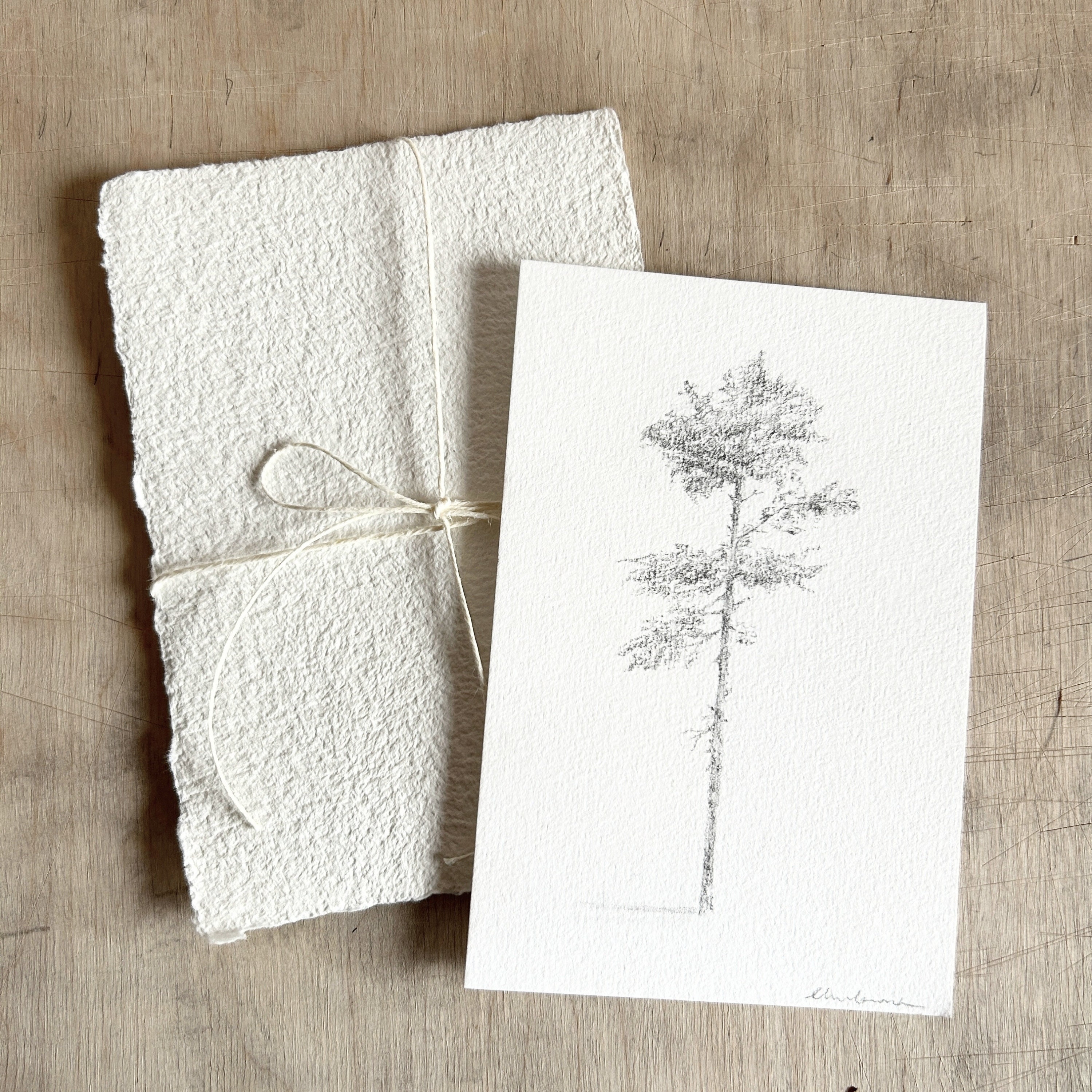 Small Tree Pencil Drawing Original Tree Study Drawing Handmade Paper ...