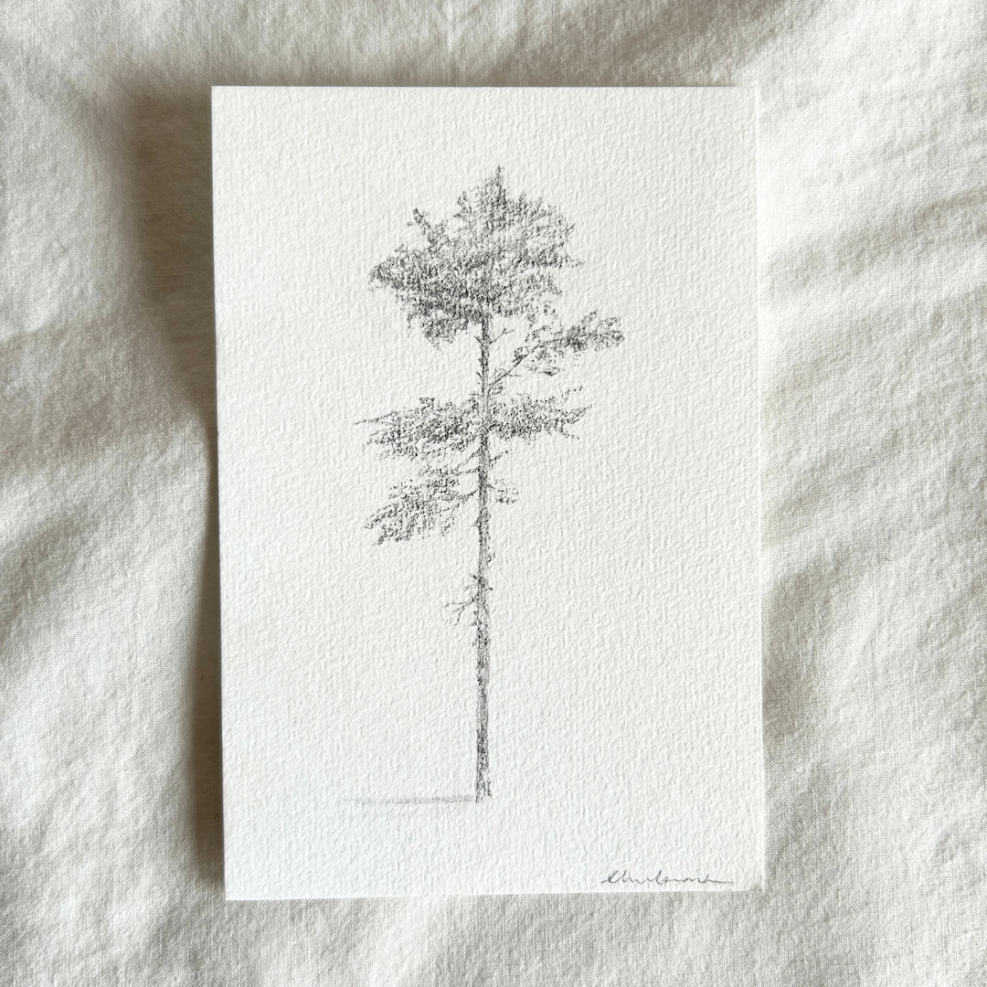 Small Tree Pencil Drawing Original Tree Study Drawing Handmade Paper ...