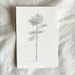 Small Tree Pencil Drawing Original Tree Study Drawing Handmade Paper ...