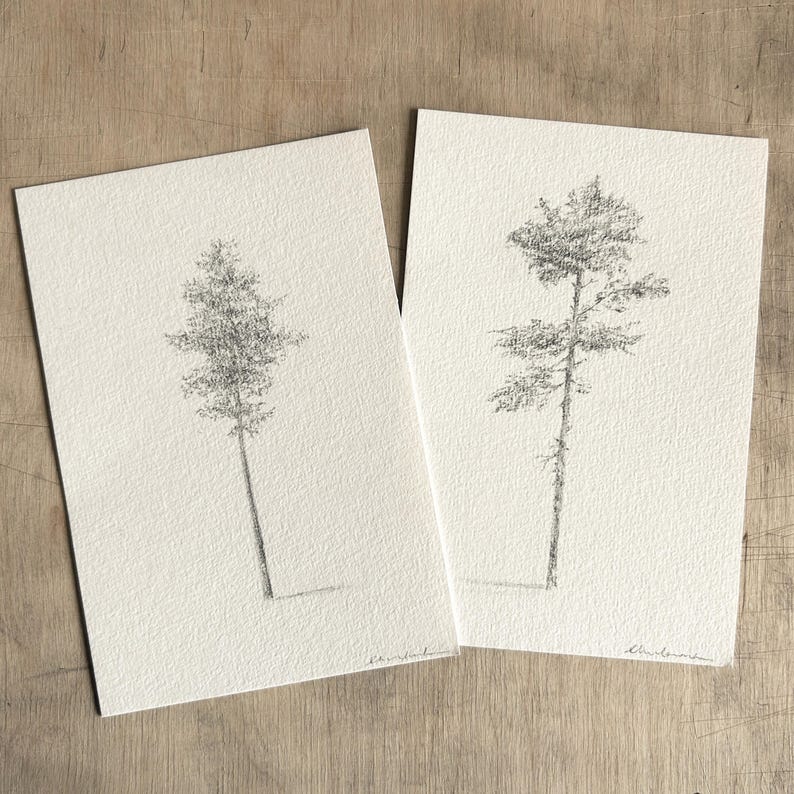 Small Tree Pencil Drawing V.2 | Original Tree Study Drawing | Handmade ...