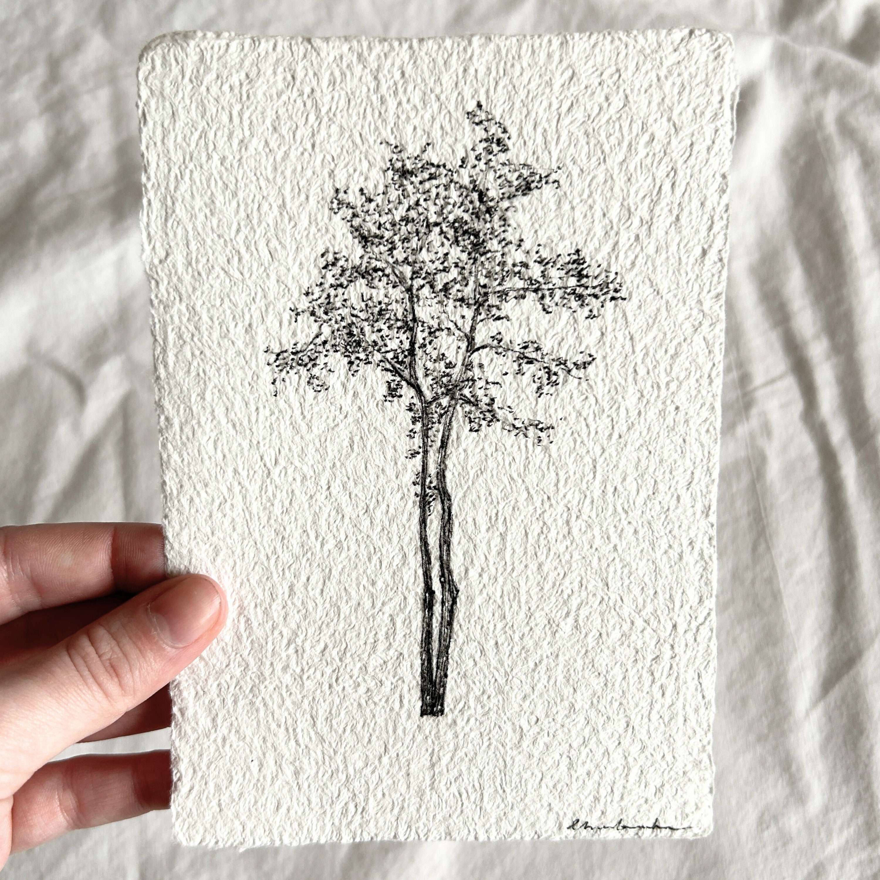 Small Tree Ink Drawing Original Tree Study Drawing Handmade Cotton ...