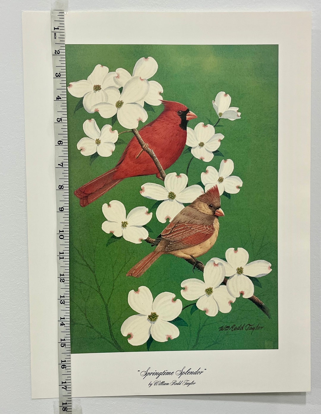 Red Cardinal Print - Etsy