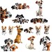 Cute Dogs Svg, Family Animal , PNG Sublimation, Digital Download ...