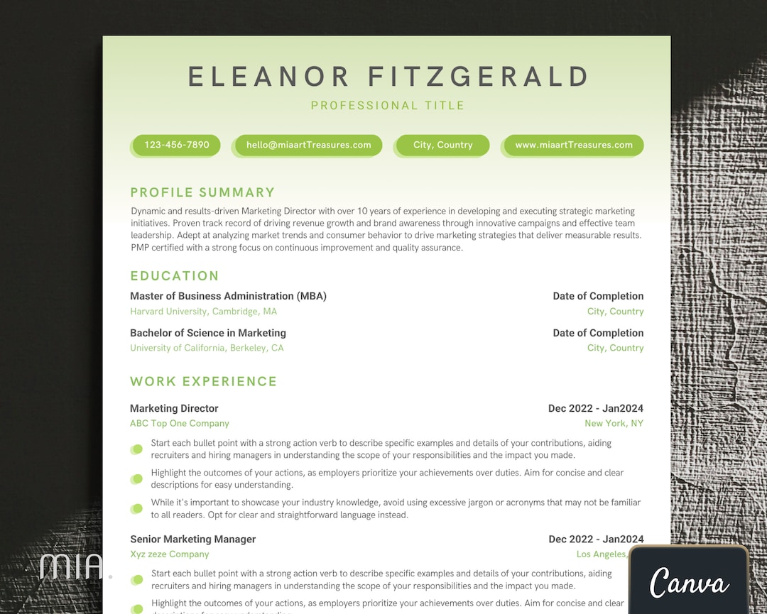 Professional Minimalist Resume Template, Clean Design ATS Resume ...