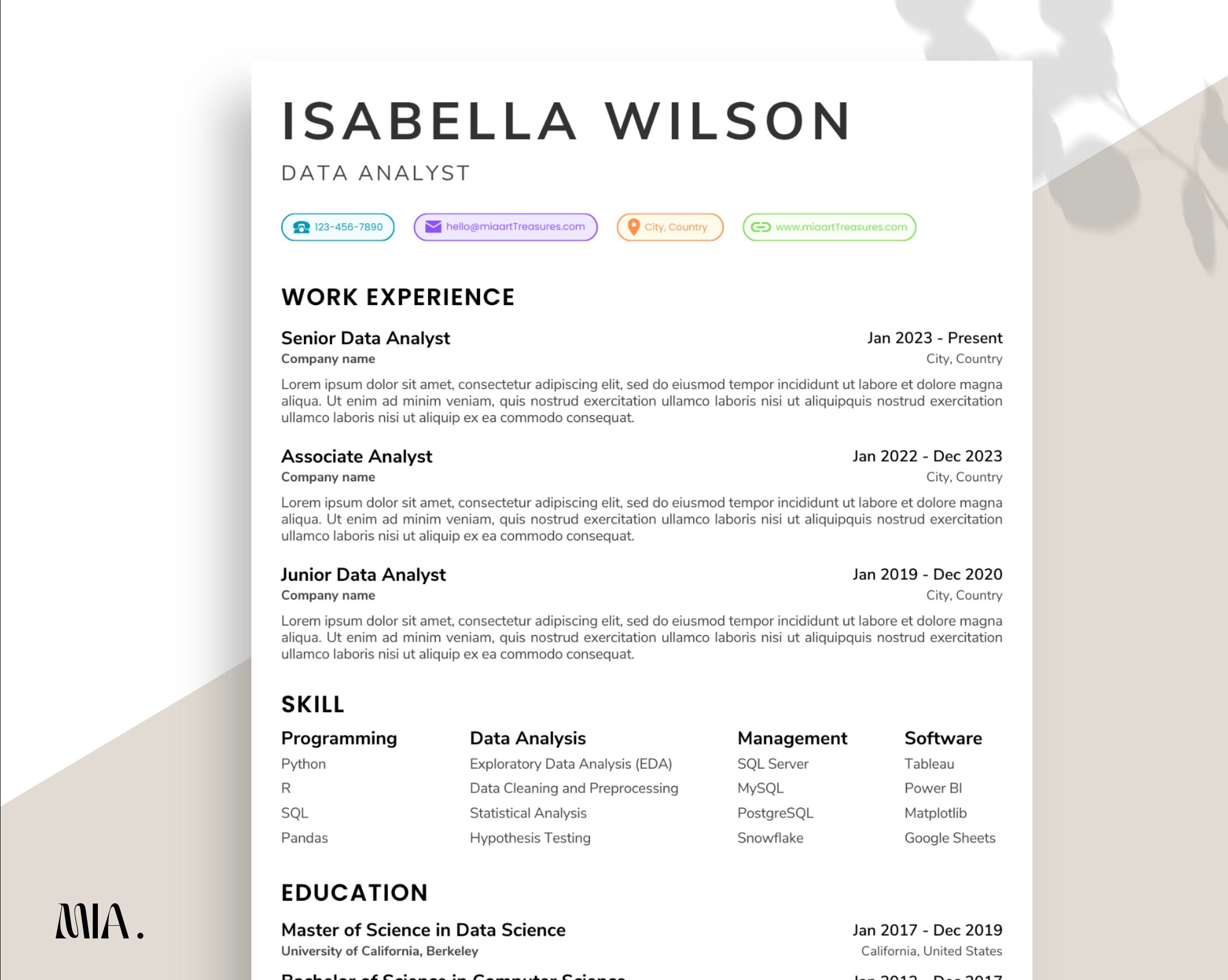 Resume Template, Professional CV Design, Applicant Tracking System Compatible, IT and Tech ...