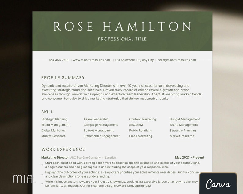 Tailored Ats-friendly Resume Template: Streamlined Design, Professional ...