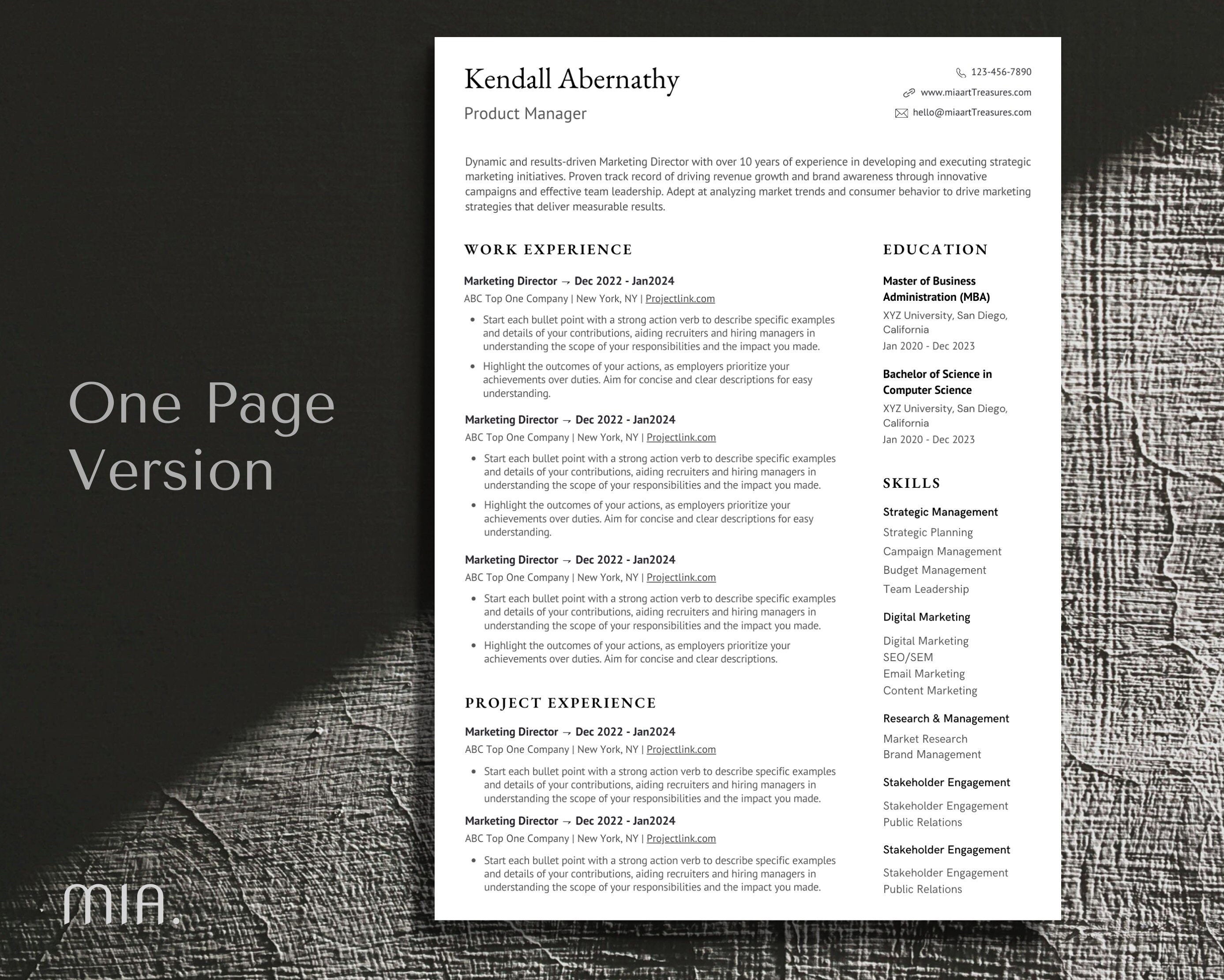 Tailored Ats-optimized Resume Template: Professional Minimalist Design ...