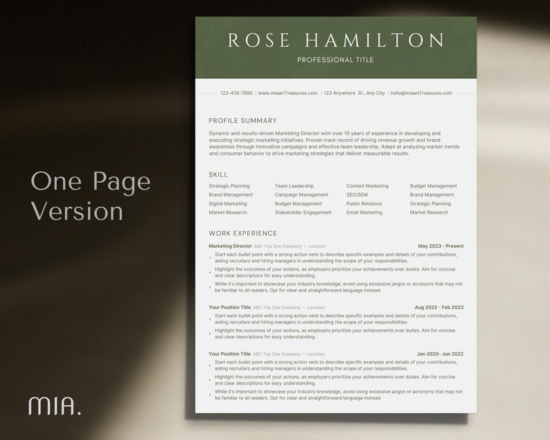 Tailored Ats-friendly Resume Template: Streamlined Design, Professional ...