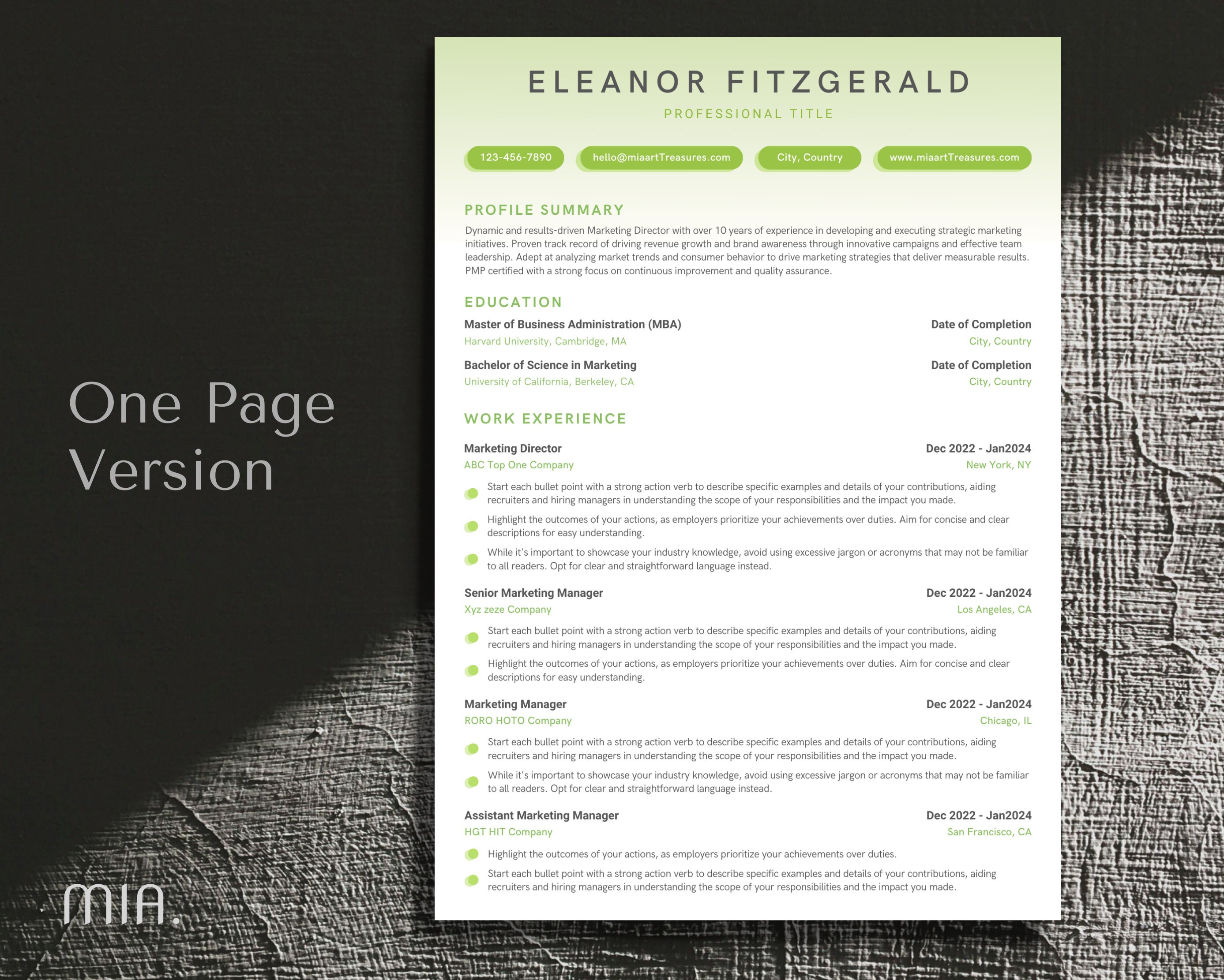Professional Minimalist Resume Template, Clean Design ATS Resume ...