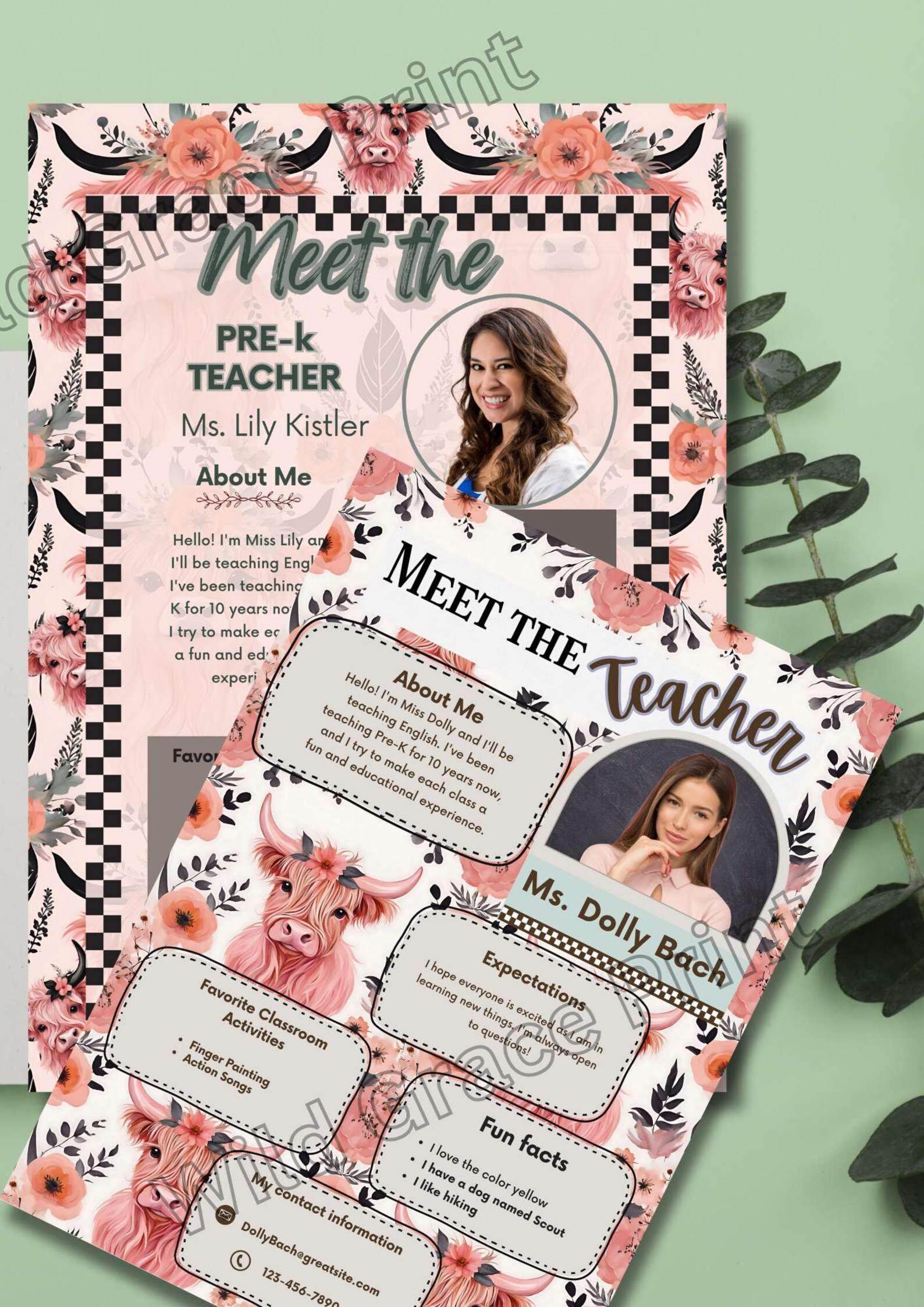 Editable Highland Cow Meet the Teacher and Classroom Newsletter ...