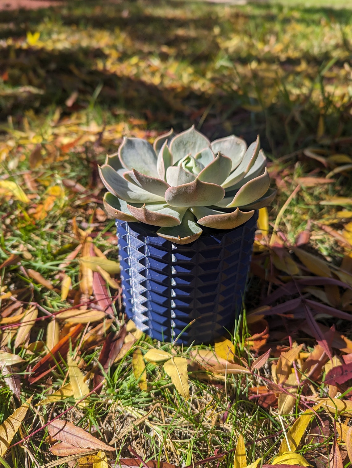 3d Printed Fractal Planter for Indoor Plants | Succulent Pots and Small ...