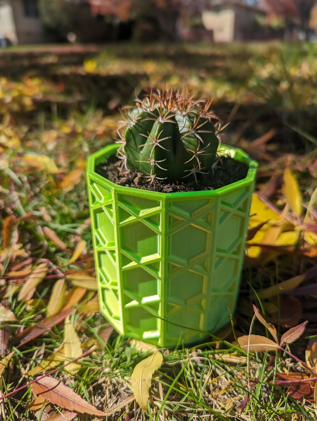 3d Printed Fractal Planter for Indoors, Succulent Pots and Small Indoor ...