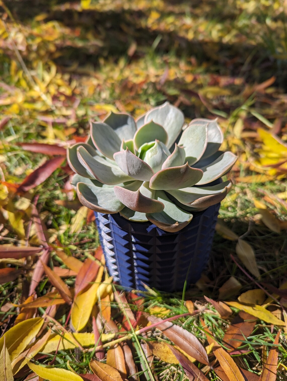 3d Printed Fractal Planter for Indoor Plants | Succulent Pots and Small ...