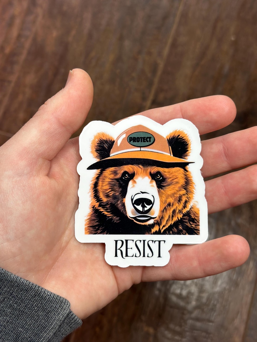 Resist Bear Waterproof Vinyl Sticker, FDT, Protect Our Parks, Resist ...