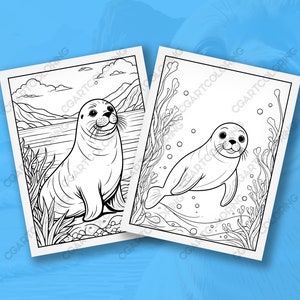 16 Cute Seal Coloring Pages for Kids Toddlers Preschoolers, Educational ...