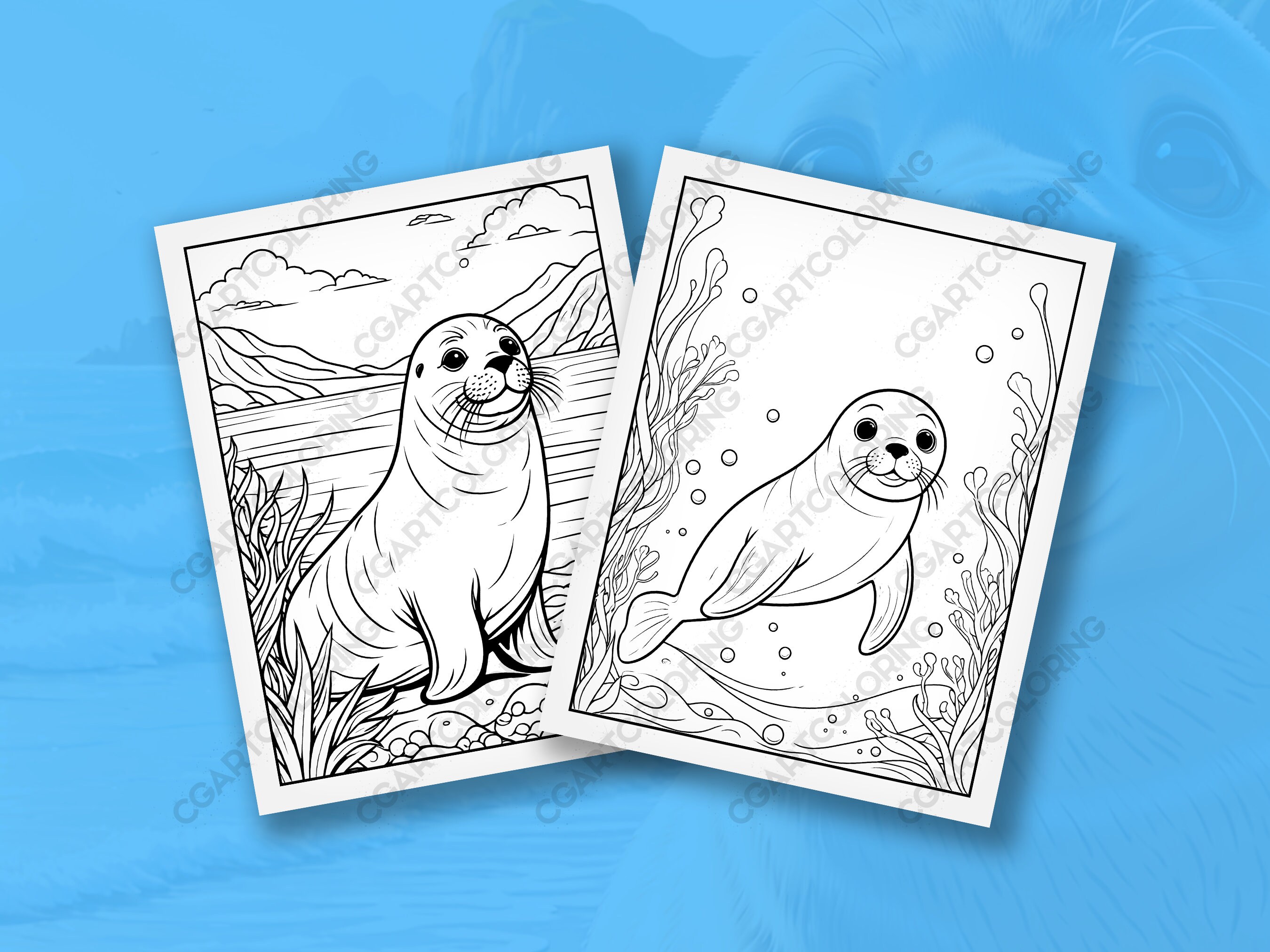 16 Cute Seal Coloring Pages for Kids Toddlers Preschoolers, Educational ...