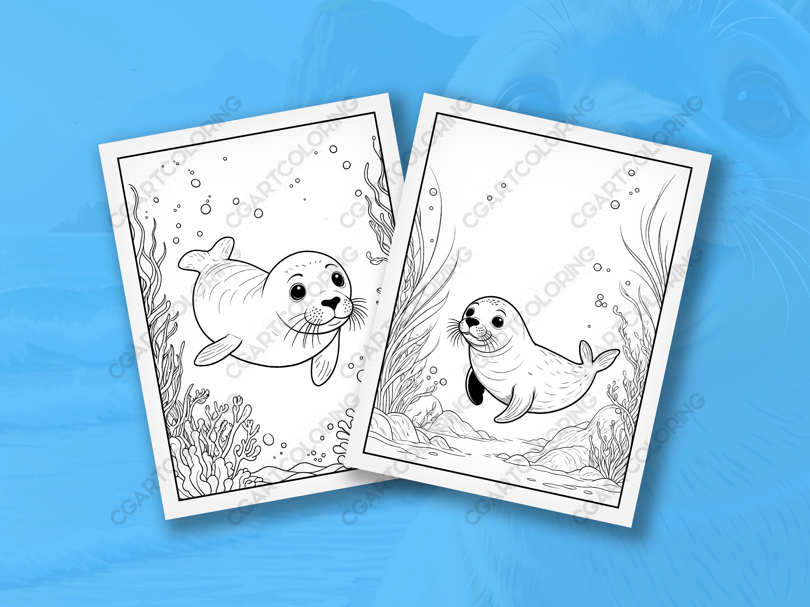 16 Cute Seal Coloring Pages for Kids Toddlers Preschoolers, Educational ...