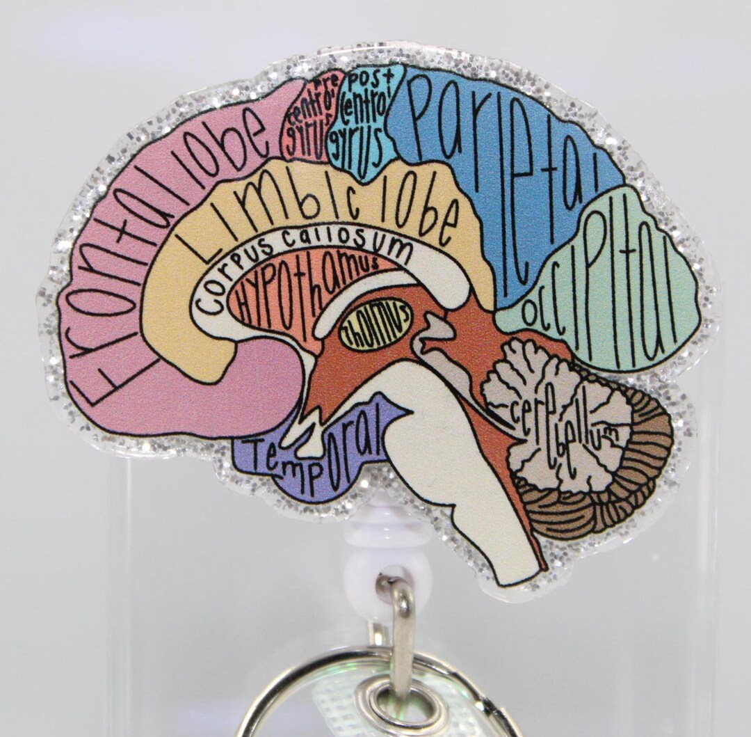 Brain Anatomy Retractable Badge Reel - Neuro, Neurology, Nurse, Doctor ...