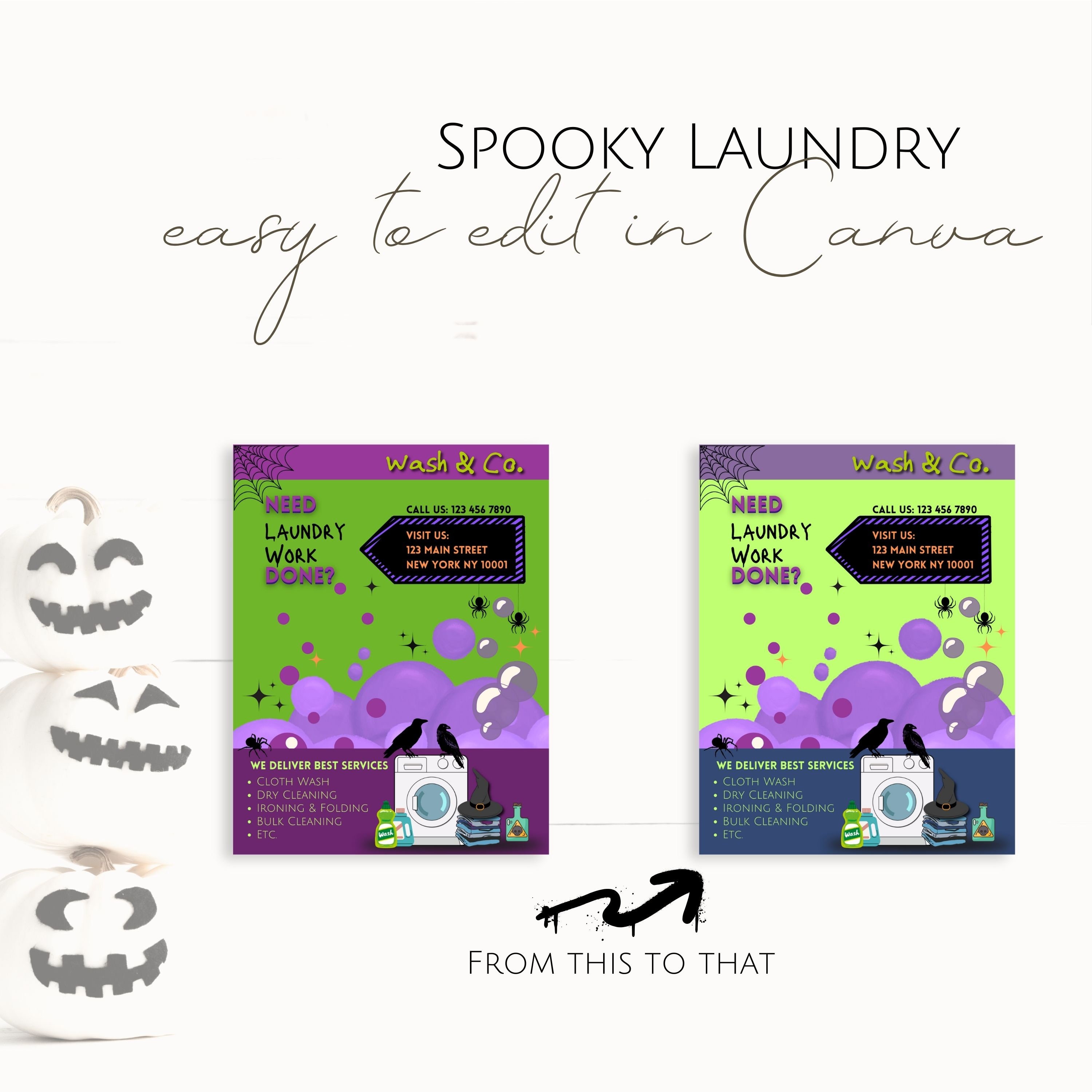 Editable Laundry Service Flyer, Canva Laundry Shop Advertising Template ...