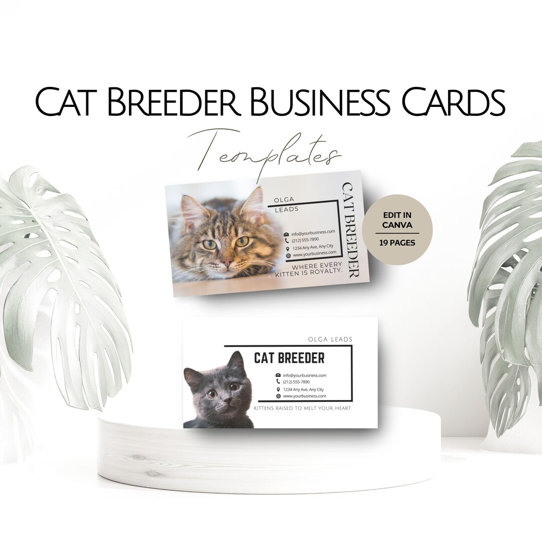 Cat Breeder Business Card Template, Editable Cats Breeding Info Cards ...