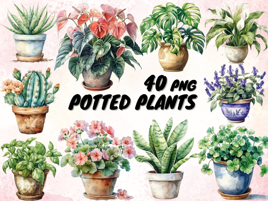 40 Watercolor House Plants Clipart - Watercolor Gardening Download ...