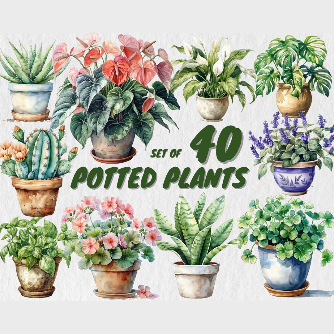 40 Watercolor House Plants Clipart Watercolor Gardening Download ...