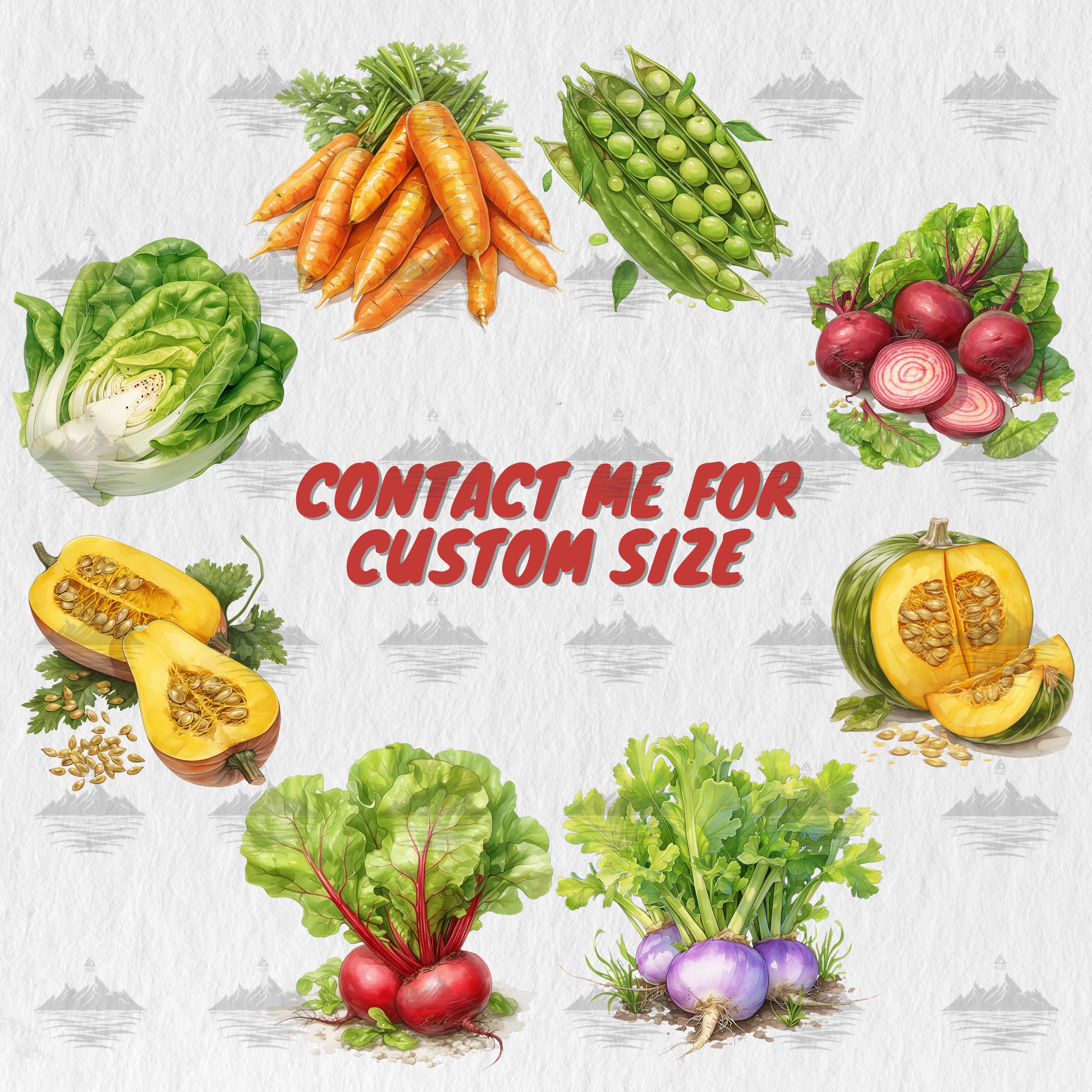 45 Watercolor Vegetables PNG Clipart Bundle, Tomato, Carrot, Corn ...