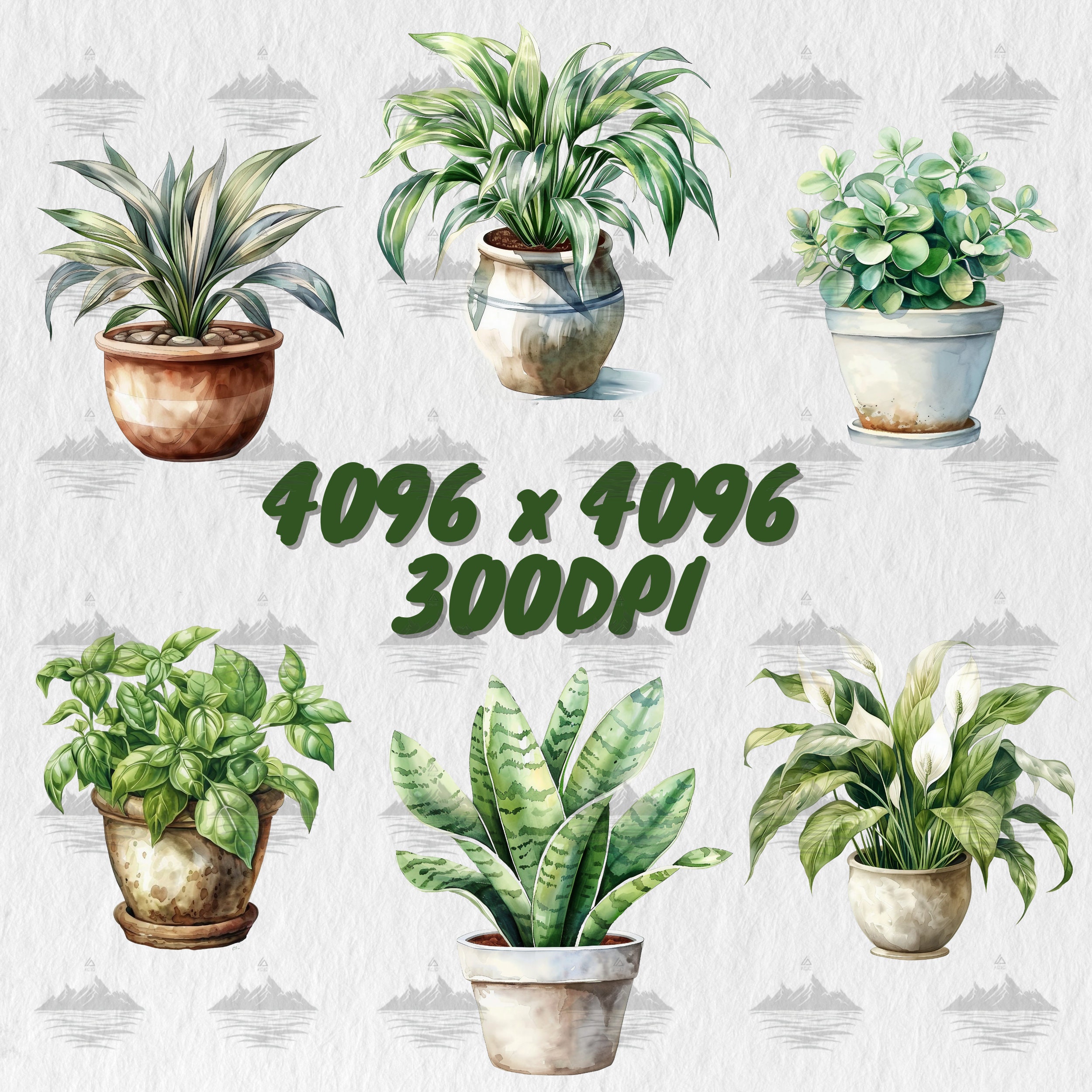 40 Watercolor House Plants Clipart - Watercolor Gardening Download ...