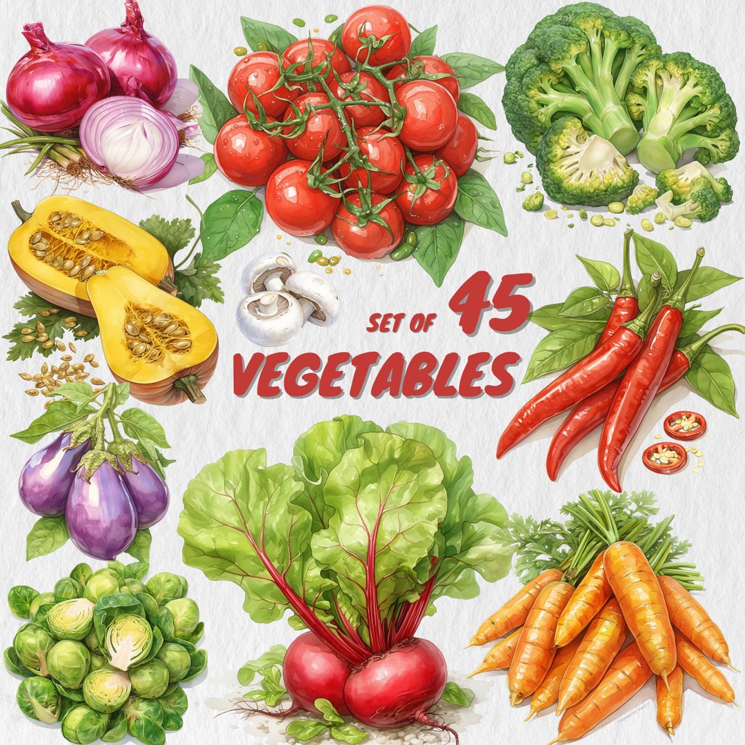 45 Watercolor Vegetables PNG Clipart Bundle, Tomato, Carrot, Corn ...