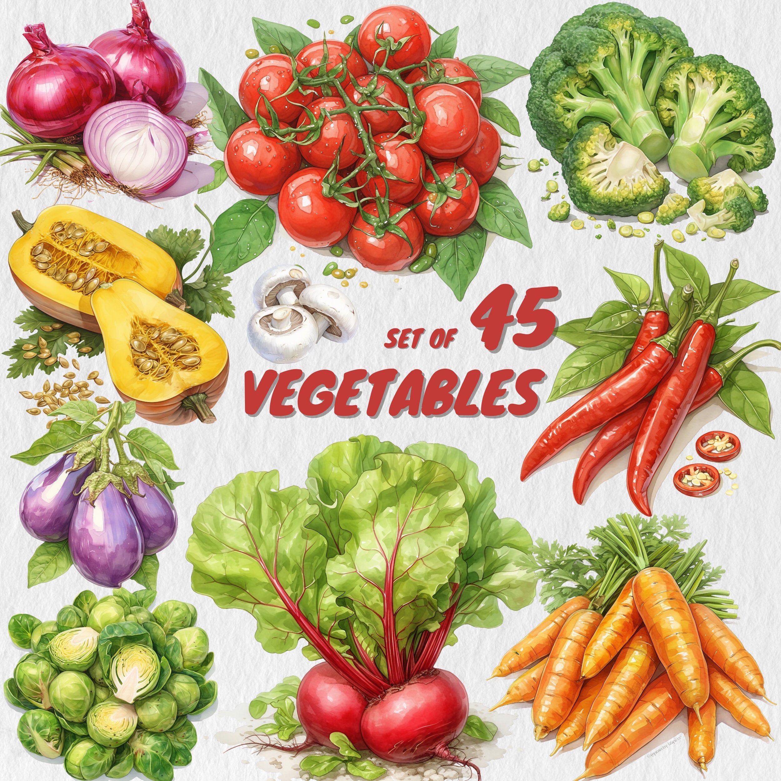 45 Watercolor Vegetables PNG Clipart Bundle, Tomato, Carrot, Corn ...