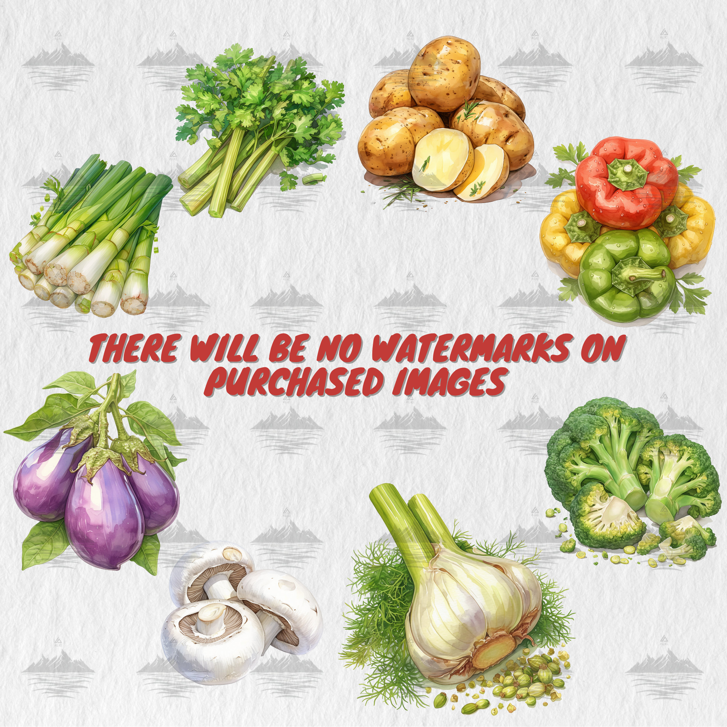 45 Watercolor Vegetables PNG Clipart Bundle, Tomato, Carrot, Corn ...