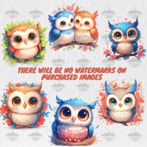 35 Watercolor Cute Baby Owls Clipart,cute Adorable Owlets,baby Owlet ...