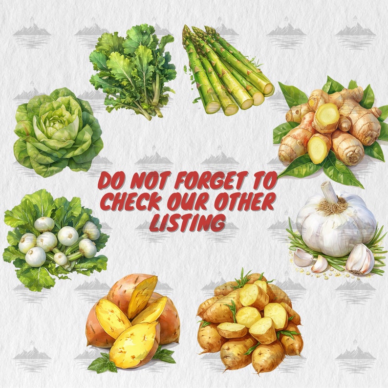 45 Watercolor Vegetables PNG Clipart Bundle, Tomato, Carrot, Corn ...