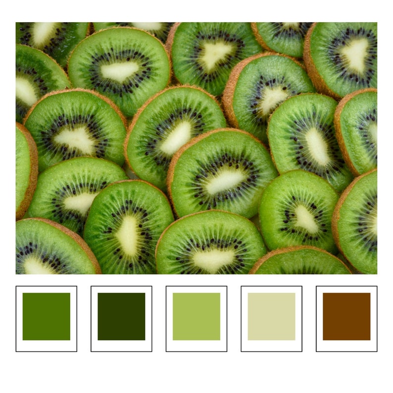 5 Fruits Themed Color Palettes, Instant Download - Etsy Australia