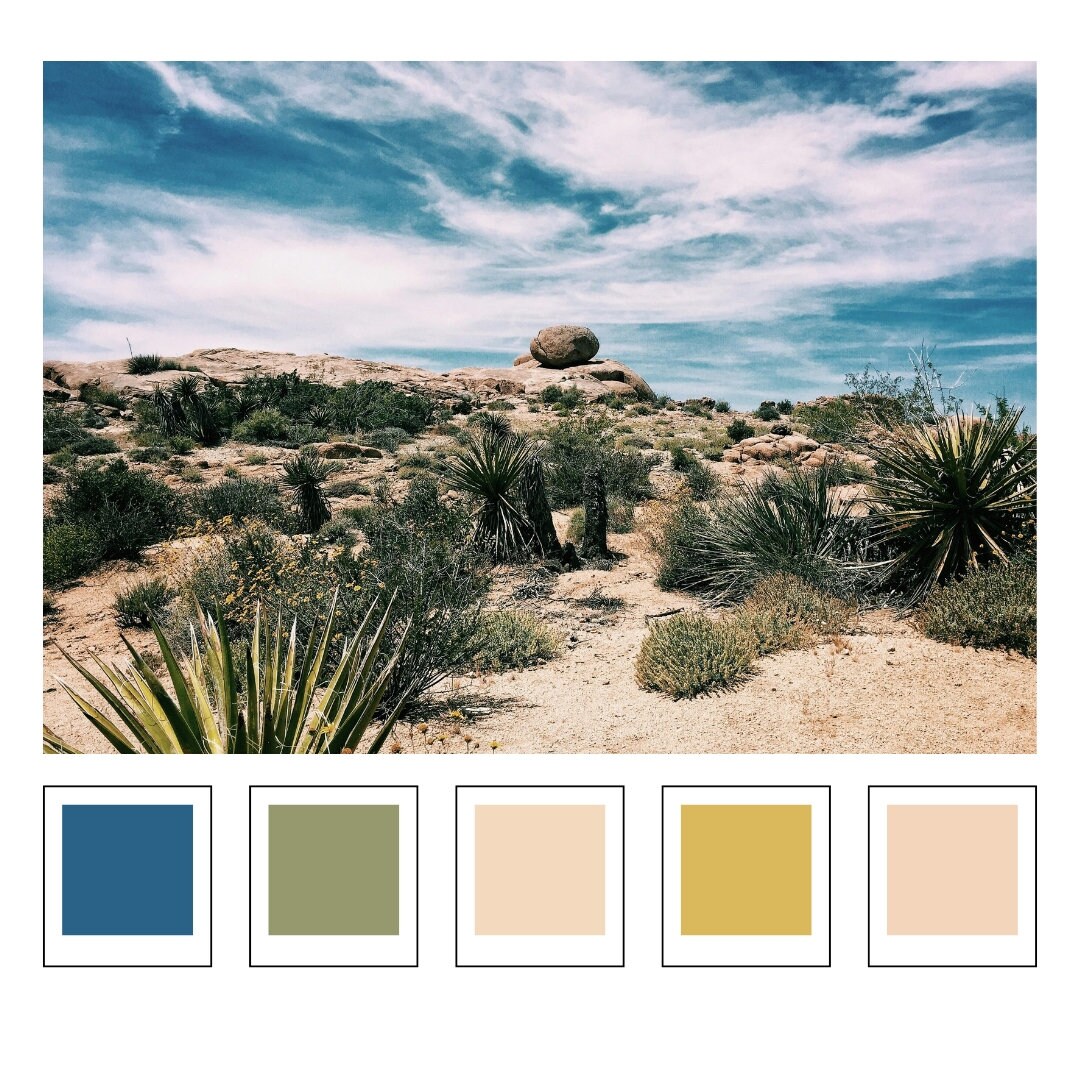 5 Ocean Themed Color Palettes, Instant Download - Etsy UK