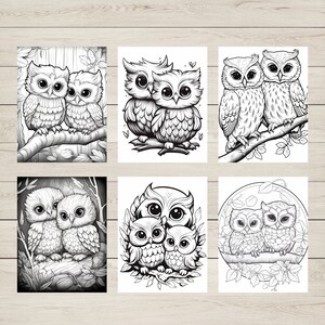 Woodland Owls Coloring Book, Baby Woodland Owls Fantasy Coloring Book ...