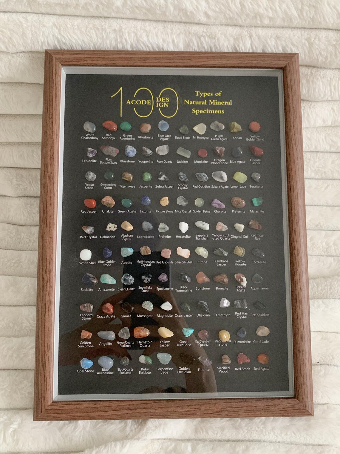 100 Natural Mineral Specimen Display Framed Educational Wall Art for ...
