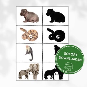Shadow Matching Game Montessori, Animal Montessori Matching Cards ...