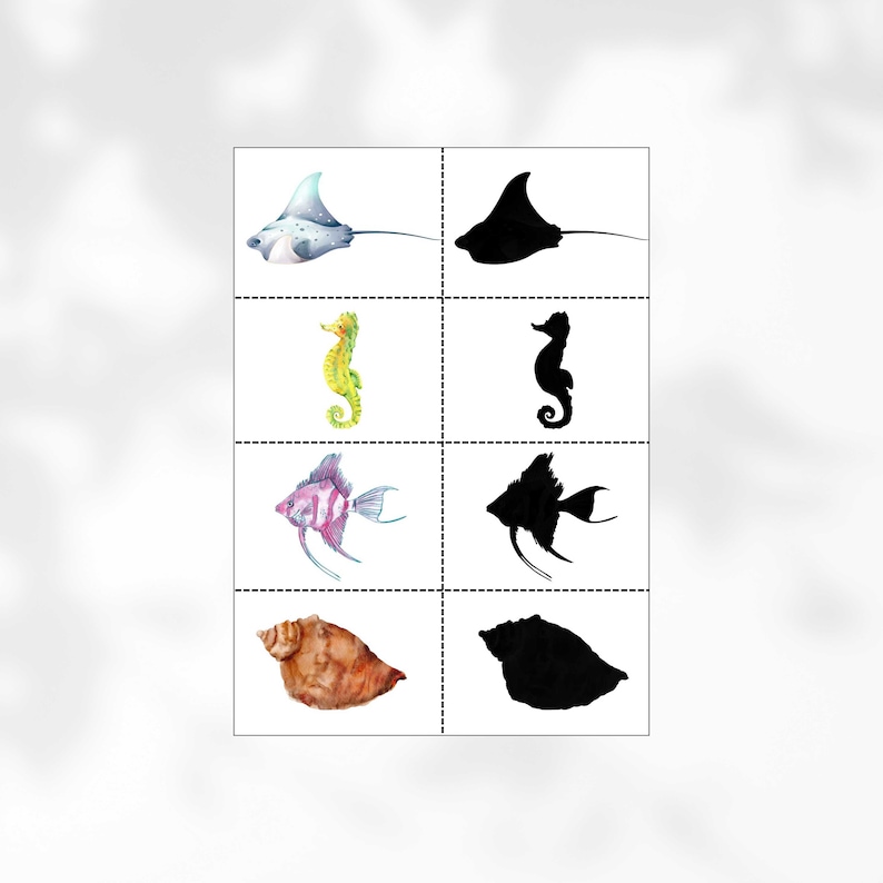 Ocean Shadow Matching Game Montessori, Montessori Matching Cards ...