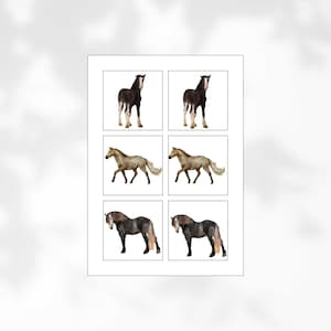 Horse Memory Game Montessori, Montessori Matching Cards, Printable Game ...