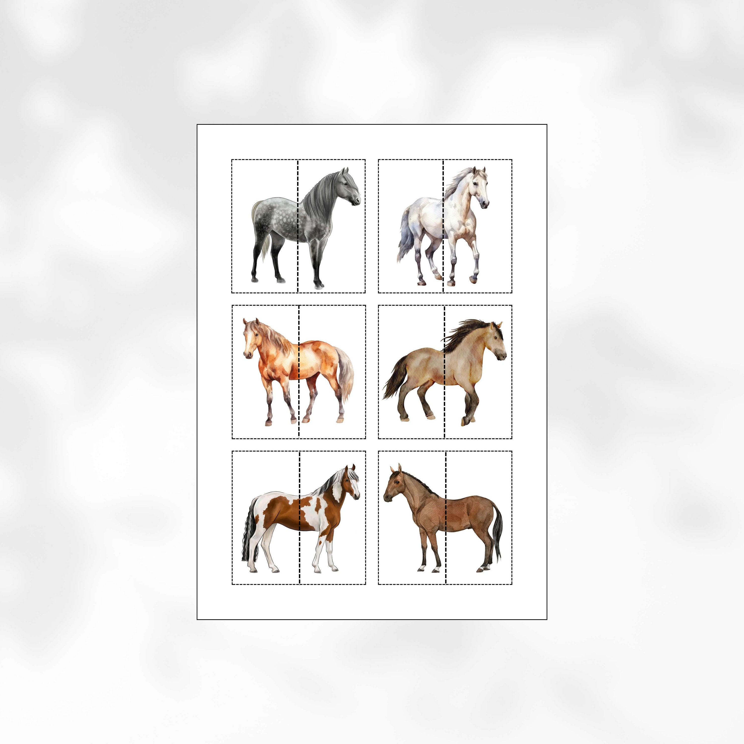 Horse Matching Game: Montessori Printable Cards (PDF) - Etsy