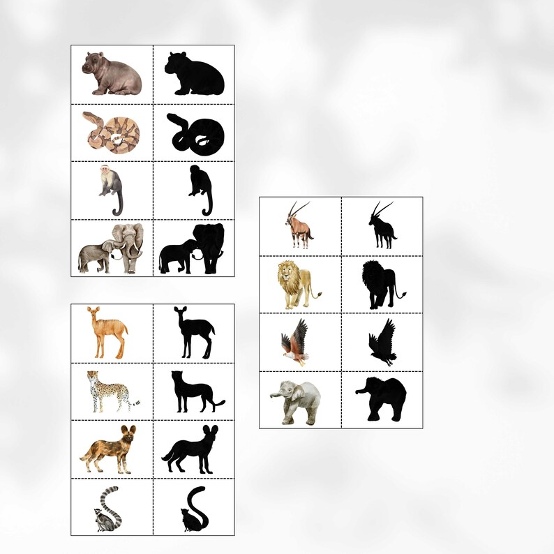Safari Shadow Matching Game Montessori, Montessori Matching Cards ...