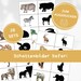 Safari Shadow Matching Game Montessori, Montessori Matching Cards ...