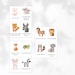 44 Affirmation Cards for Children, Animal Encouragement Cards for ...