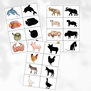 Shadow Matching Game Montessori, Animal Montessori Matching Cards ...