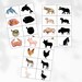 Shadow Matching Game Montessori, Animal Montessori Matching Cards ...