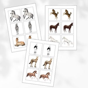 Horse Memory Game Montessori: Printable Matching Cards (PDF) - Etsy