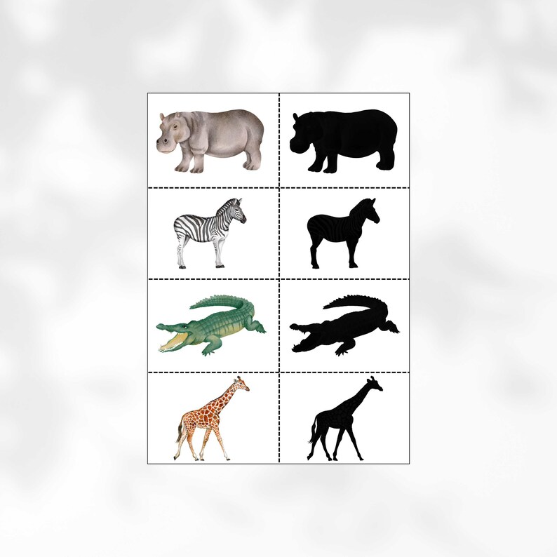 Safari Shadow Matching Game Montessori, Montessori Matching Cards ...