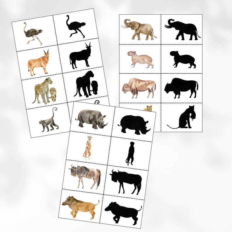 Safari Shadow Matching Game Montessori, Montessori Matching Cards ...